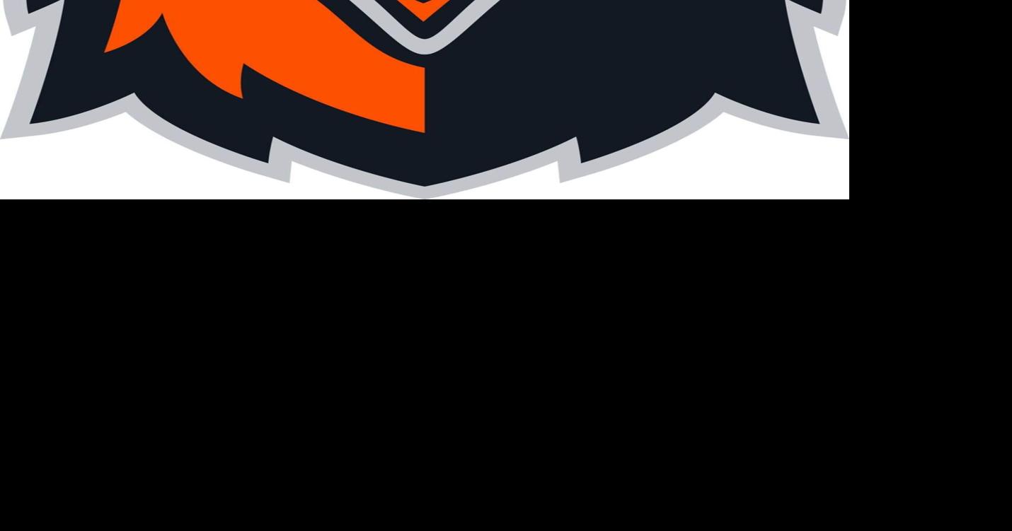 Thunderhawks baseball preview - Winning starts on Day 1 | Sports ...