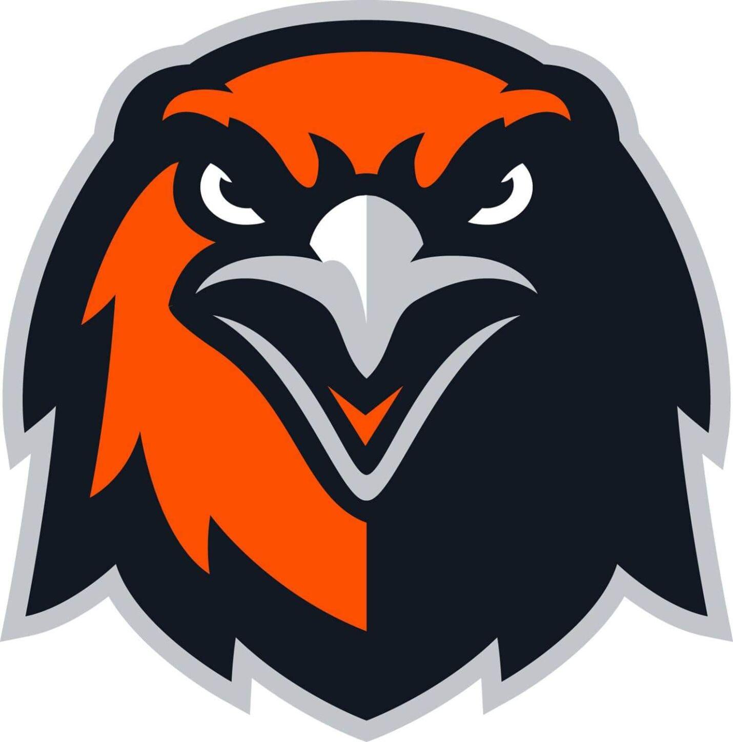 Thunderhawks baseball preview - Winning starts on Day 1 | Sports ...