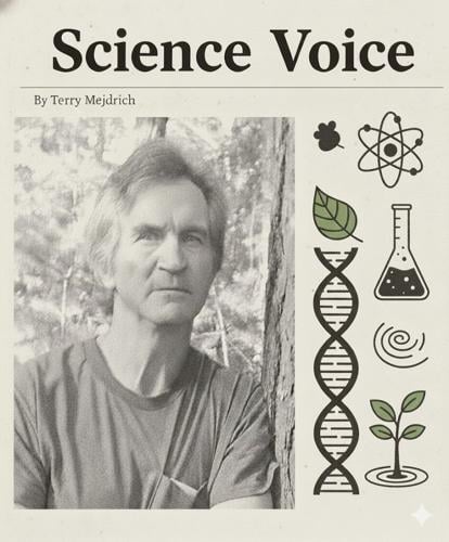 hardly human analysis