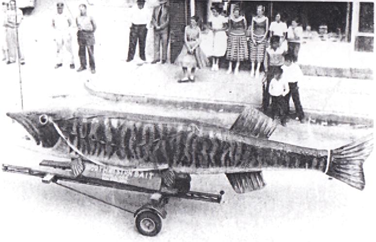 New Deer River Muskie statue dedicated 60 years and counting | News ...