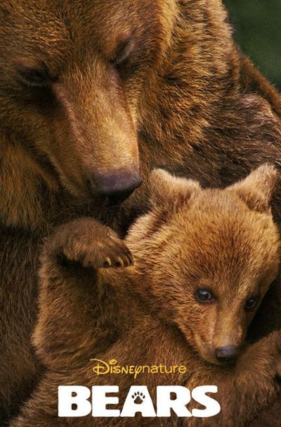 Bears! At the library! | News | grandrapidsmn.com