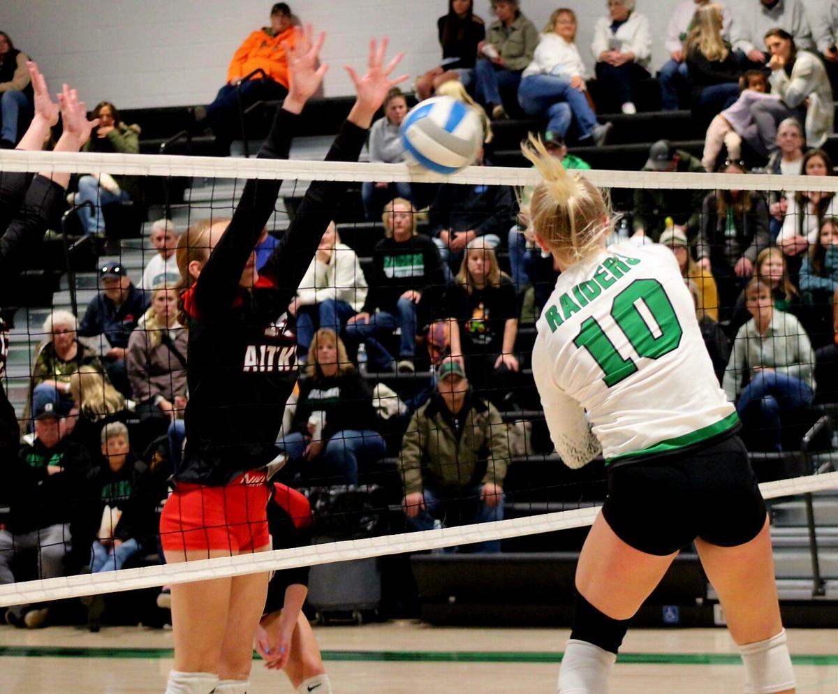 Greenway’s Ava Johnson selected All-Area Volleyball Player of the Year ...