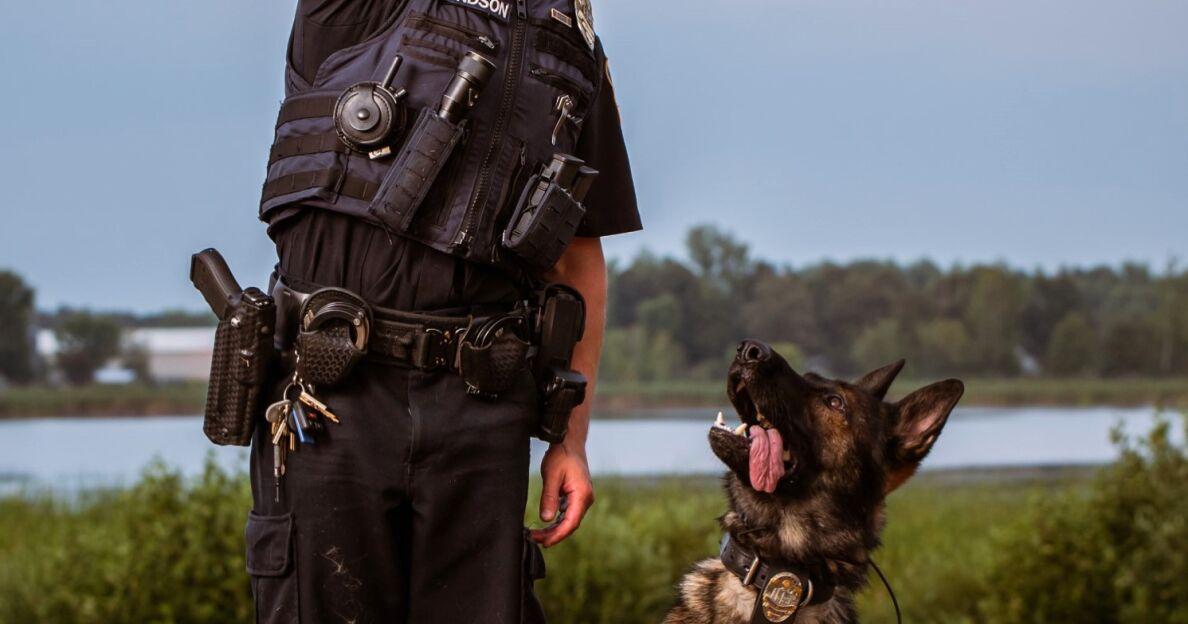 Riding along with Murphy and GRPD K9 Officer Justin Edmundson | News ...