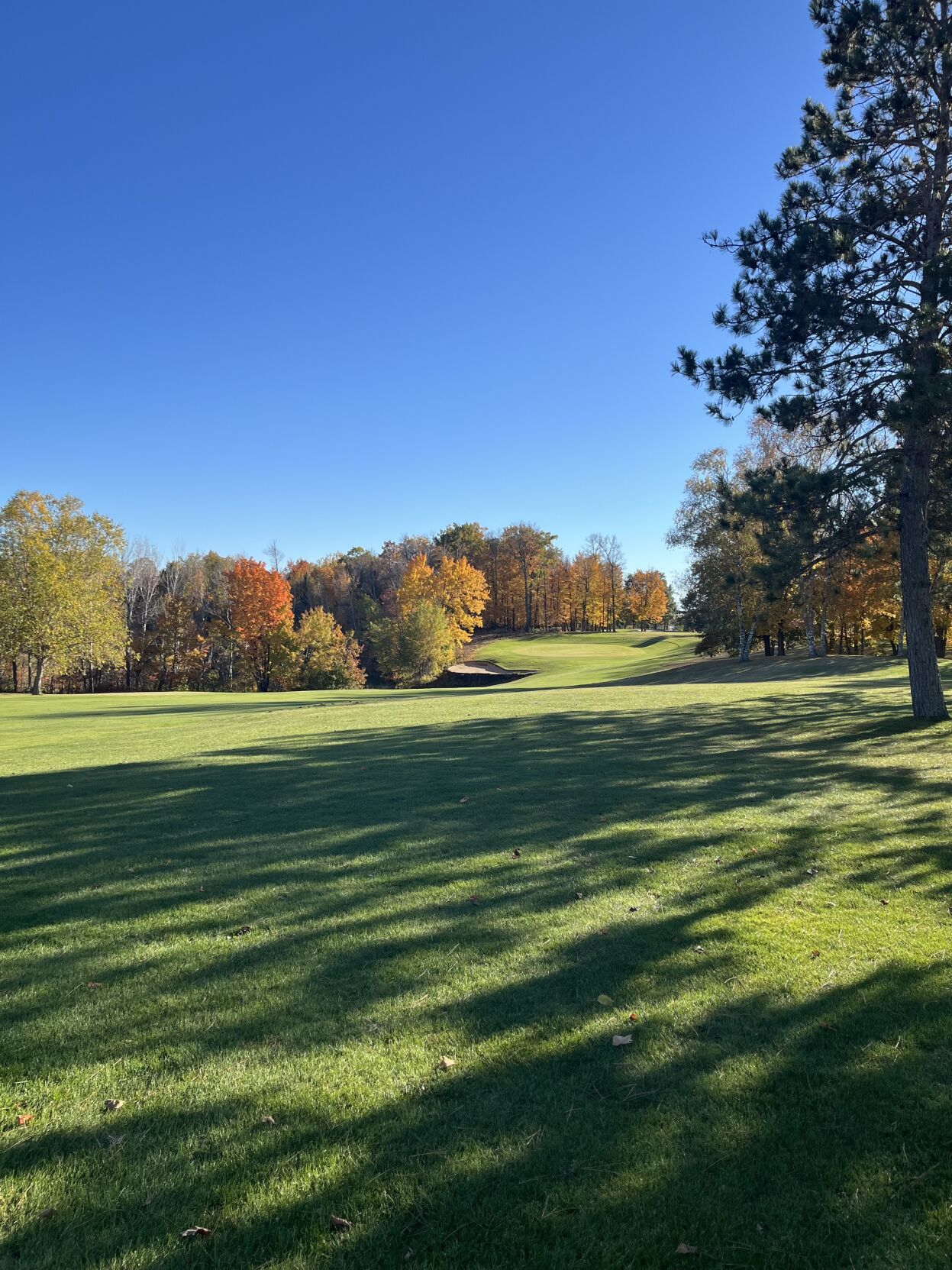 Celebrating 100 years of Pokegama Golf Course | Business ...