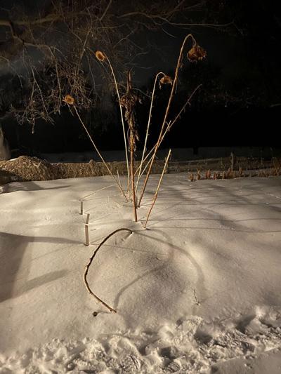 The Edge Center Gallery artist reception | Artsandculture ...