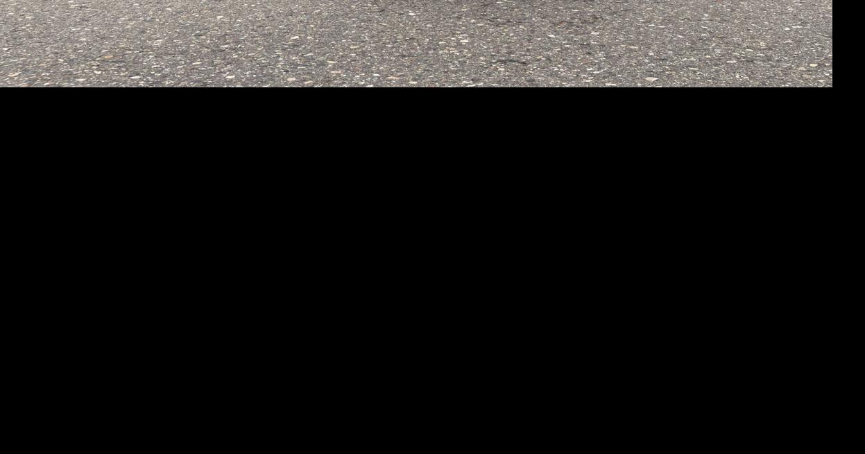 Northland K-9 Foundation expands to support Hibbing and Eveleth Police Department K-9 programs ...