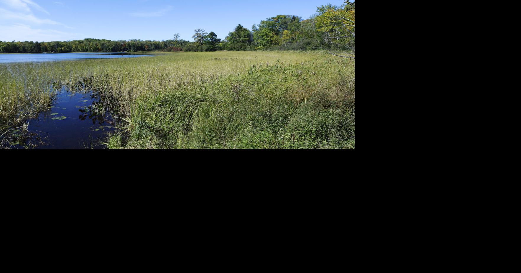 A Mining fairy tale | Opinion | grandrapidsmn.com