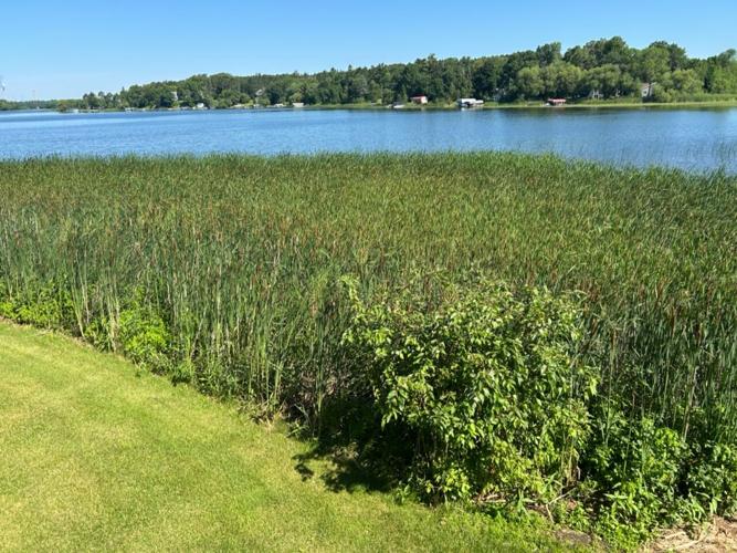 Shoreland Stewardship award announced | News | grandrapidsmn.com