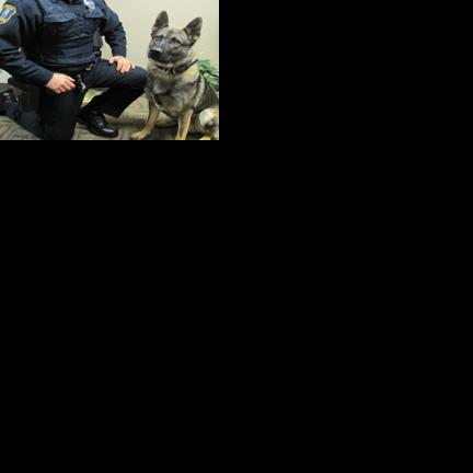 A new K-9 officer at the GRPD | News | grandrapidsmn.com
