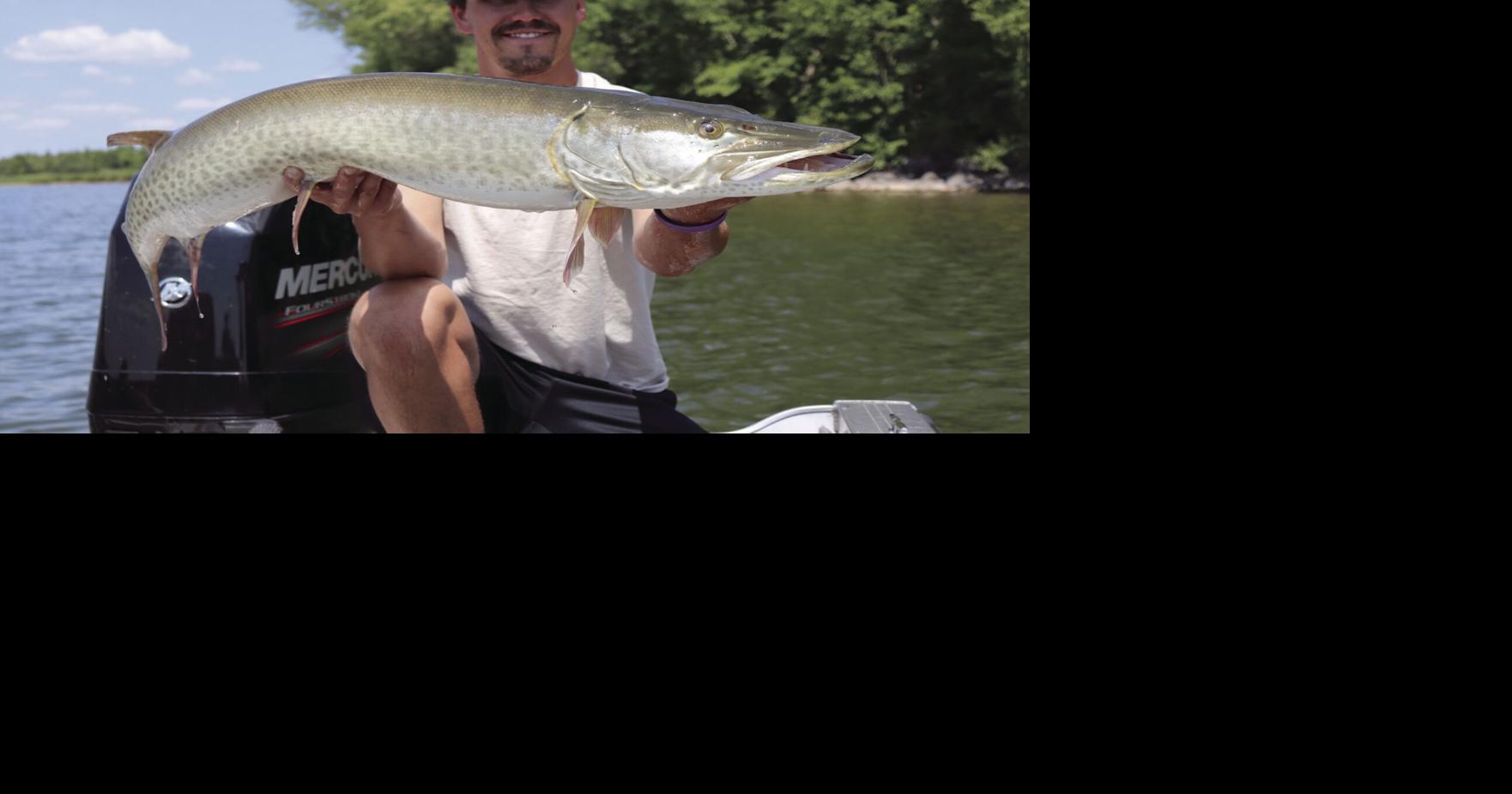 How to safely catch Minnesota muskies | Outdoors | grandrapidsmn.com