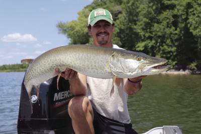 How to safely catch Minnesota muskies | Outdoors | grandrapidsmn.com