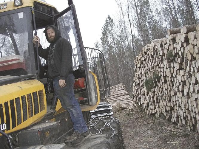 Logging in the area | Business | grandrapidsmn.com