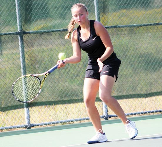 Lighting top Hibbing, St. Francis | Sports | grandrapidsmn.com