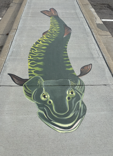 Fish and turtles painted on the sidewalks to protect our water | News ...