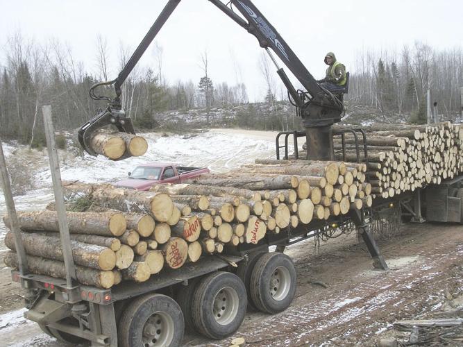 Logging in the area | Business | grandrapidsmn.com
