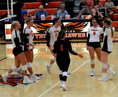 Thunderhawks volleyball host Rock Ridge to start playoffs | Sports ...
