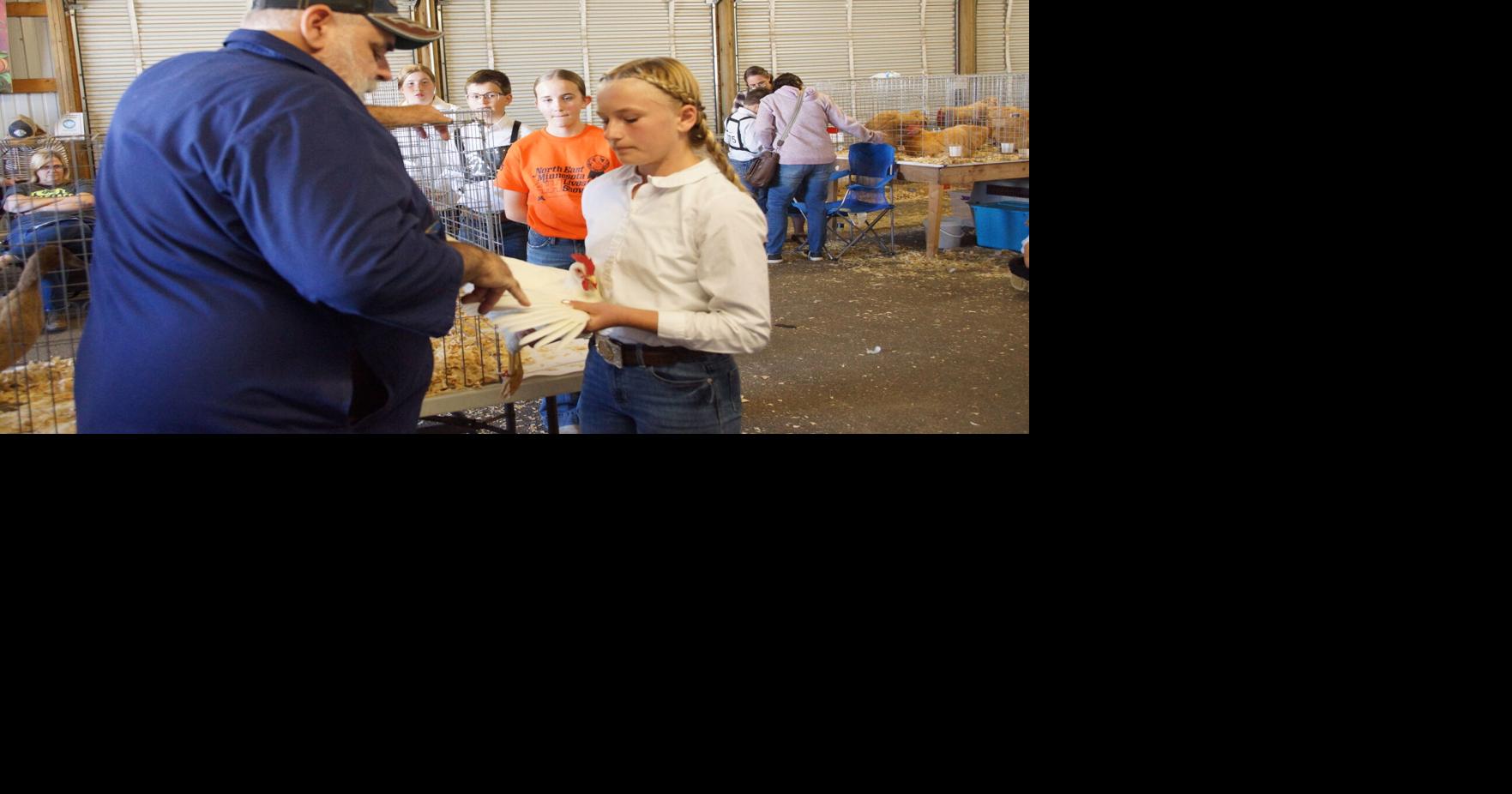 Northeast 4-H Livestock show celebrates 90 years of tradition | News ...