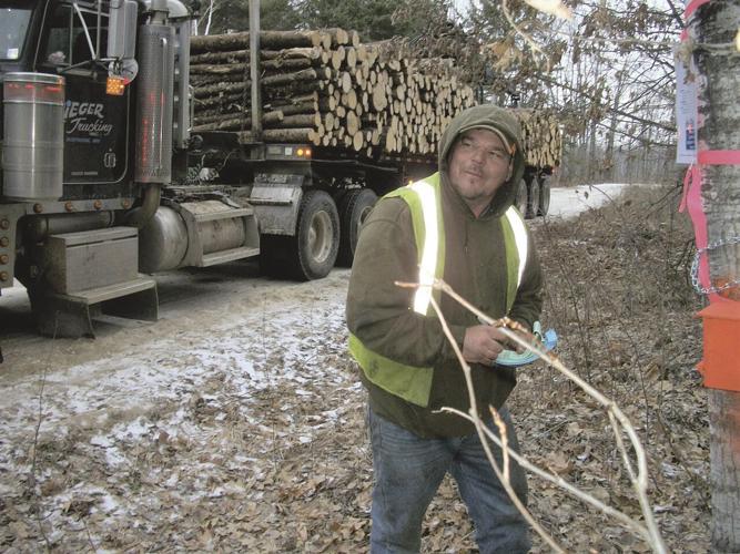 Logging in the area | Business | grandrapidsmn.com
