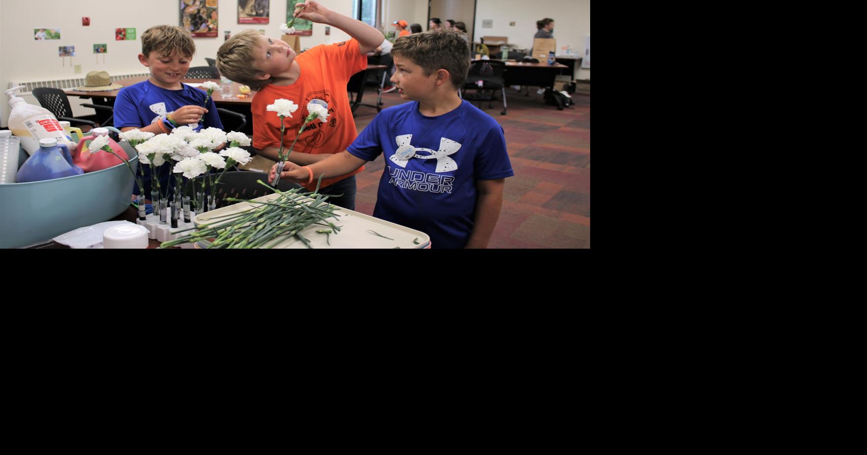 Science camps for kids | Events | grandrapidsmn.com