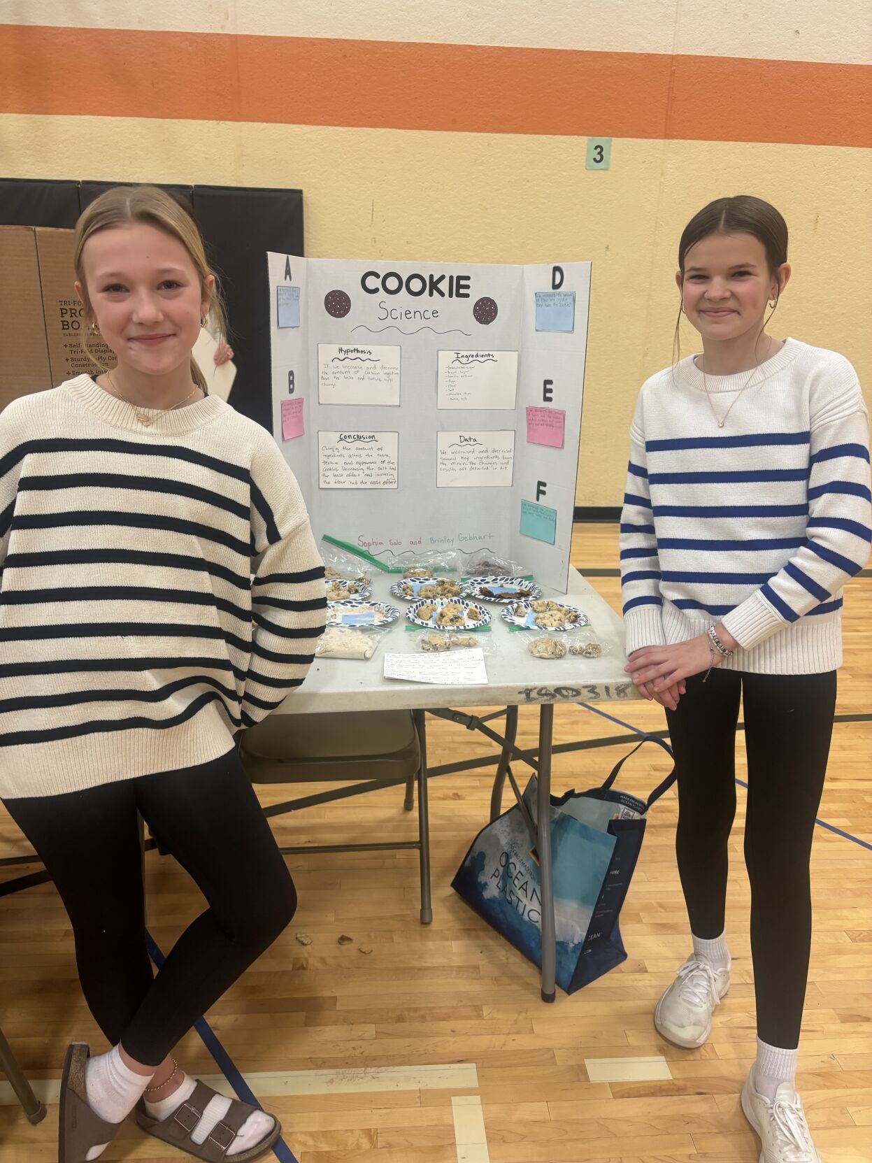 Compelling students present their science projects at RJEMS | News ...