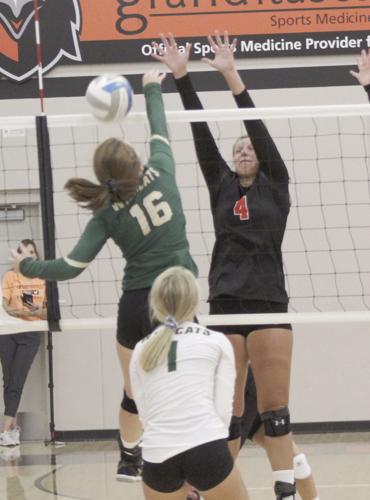 Rapids volleyball team spikes Chisago Lakes | High School ...