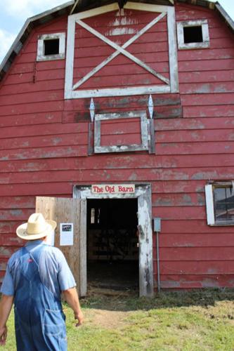Fun on the farm: Mr. Ed’s Farm opens to families | Grand People ...