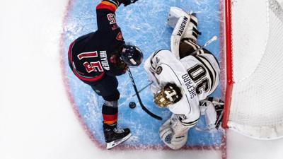 Shepard, Bears return to Calder Cup Final | Sports | grandrapidsmn.com