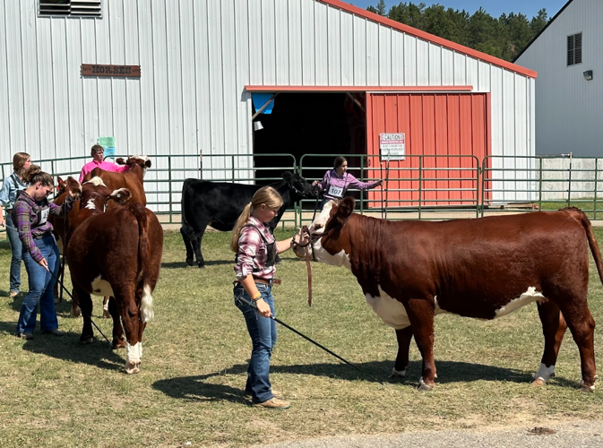 2023 ITASCA COUNTY FAIR AWARD-WINNING ENTRIES | News | grandrapidsmn.com