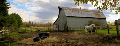 A farm foundation for healing | News | grandrapidsmn.com