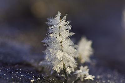 The Bitter cold of Grand Rapids: A week of subzero temperatures | News ...