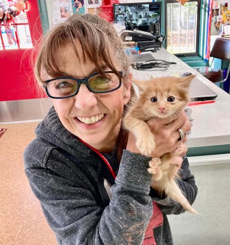 At The Shelter: Help Celebrate My 66th Birthday And Save Lives | ACCENT ...