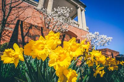 ETSU Predicts Warmer-Than-Normal Spring For East Tennessee | Local News ...