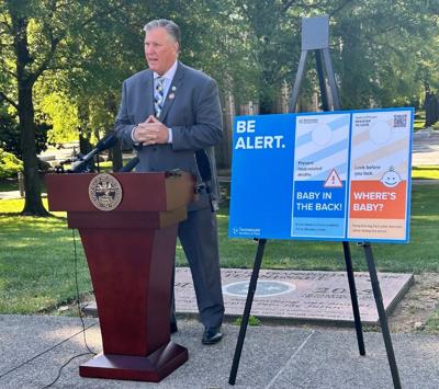 Free ‘Baby In The Back’ Car Hangtag Program Aims To Protect Children ...