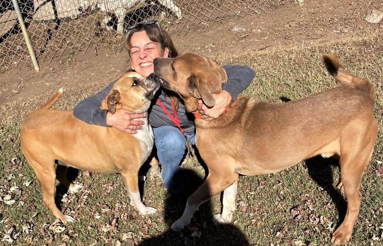 At The Shelter: These Loving Shelter Dogs Need A 'Furever' Home ...