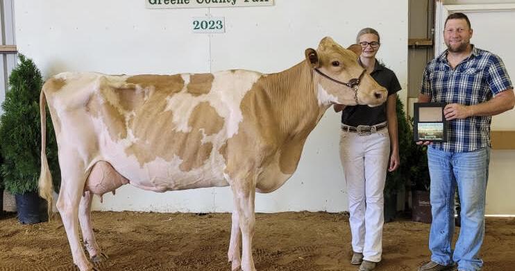 Greene County Fair Dairy Show Winner Callie Collette | Agriculture ...