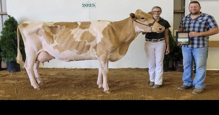 Greene County Fair Dairy Show Winner Callie Collette | Agriculture ...