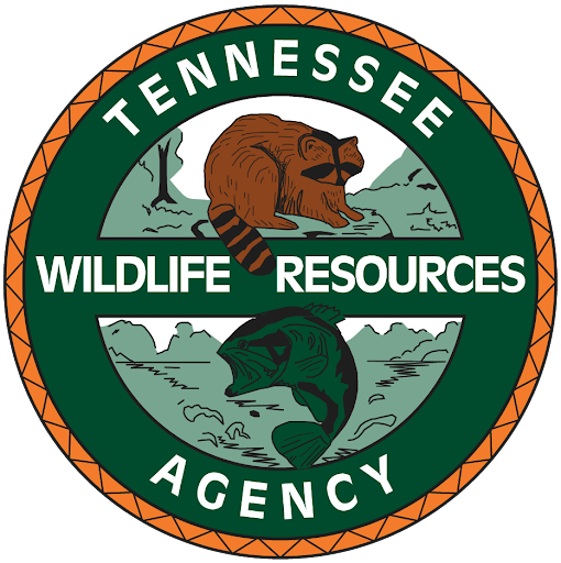 Tennessee Gun Hunting Season For Deer Opens Nov. 22 | Local News ...