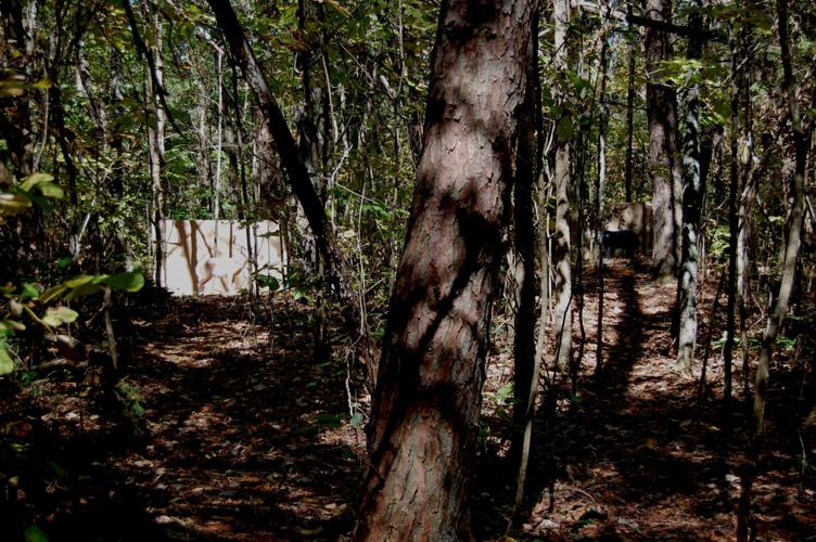 Greene County Range & Firearms Sports Complex Adds Archery Course ...