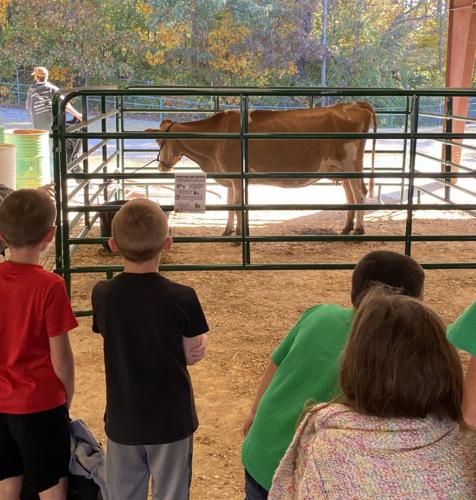 Kids Day On The Farm | Agriculture | greenevillesun.com