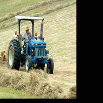 Making Hay | News | greenevillesun.com