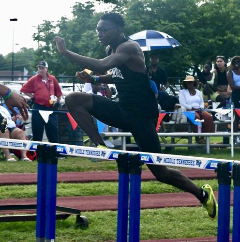 Anderson Leads Greeneville Boys To 3rd Track State Title | Sports ...