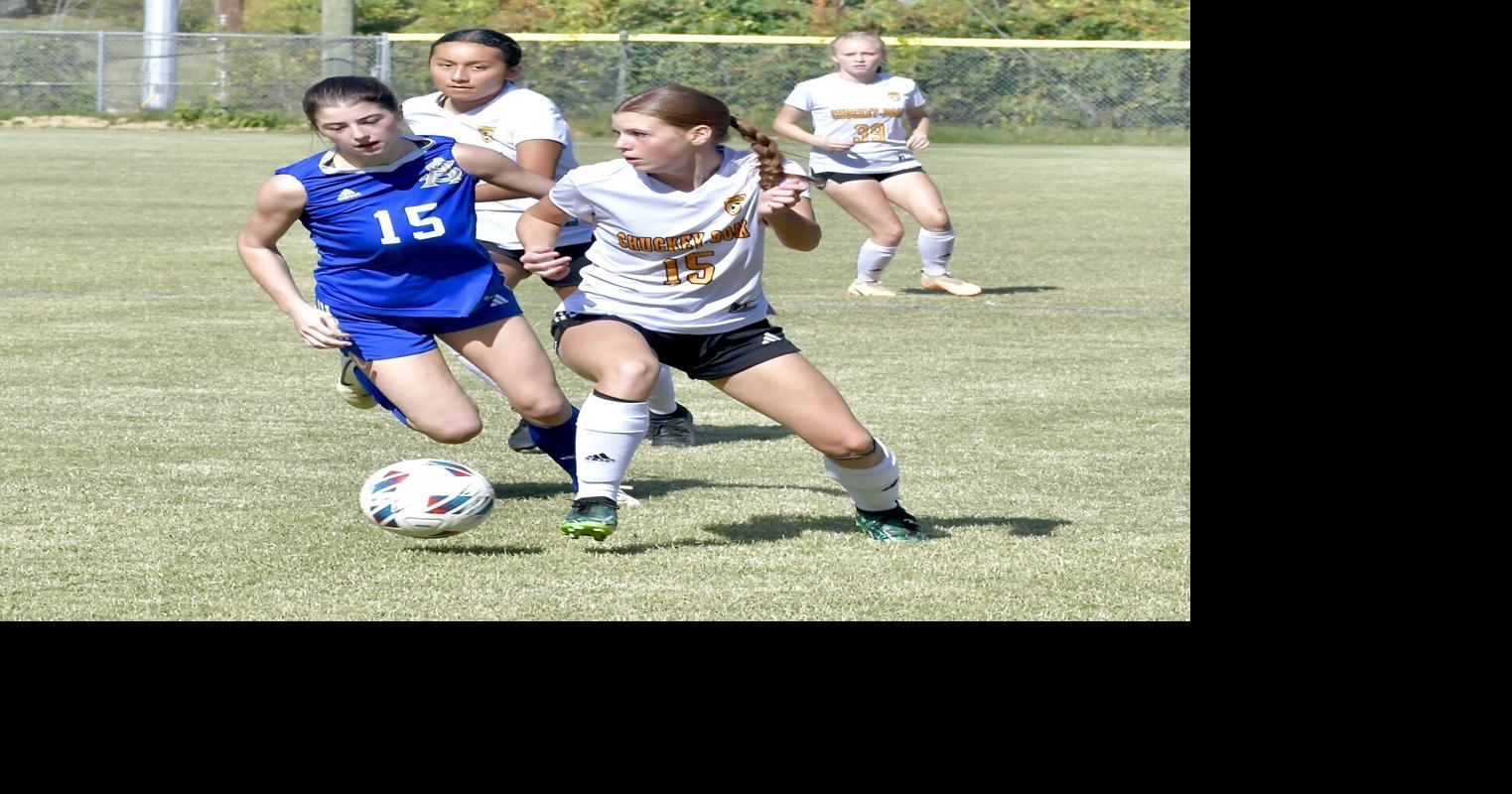 Lady Knights Fall To CSAS In Sectional Again | Sports | greenevillesun.com