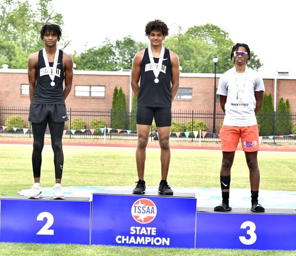 Greeneville's Price Wins 2 Golds At State Track Meet | Sports ...
