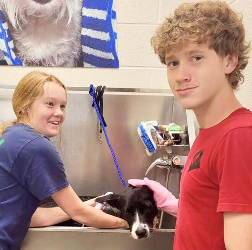 At The Shelter: Adoption Center Celebrates 1st Year In New Location ...