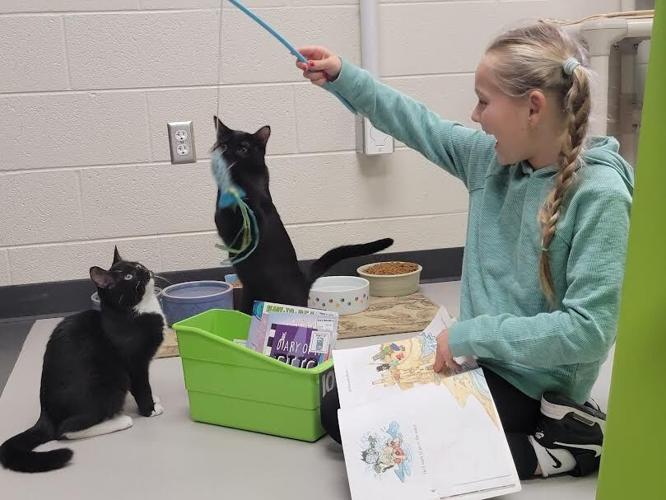 Tusculum View Reads At Animal Shelter | Education | greenevillesun.com