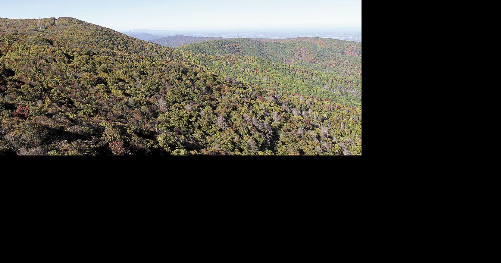 Hiking Opportunities Abound For Fall Escapades In Greene County | Local ...