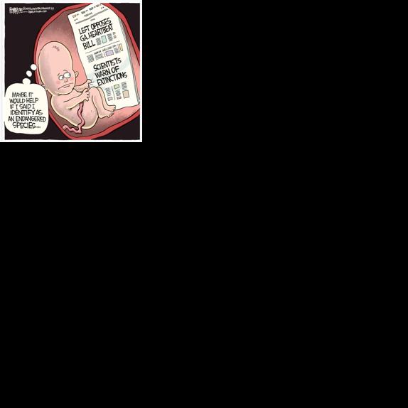 Roe V. Wade | Editorial Cartoons | greenevillesun.com