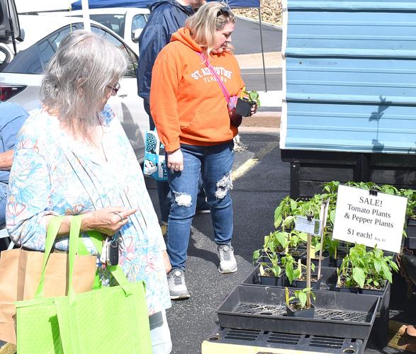 Greene County Farmers Markets Support Sustainability | Local News ...