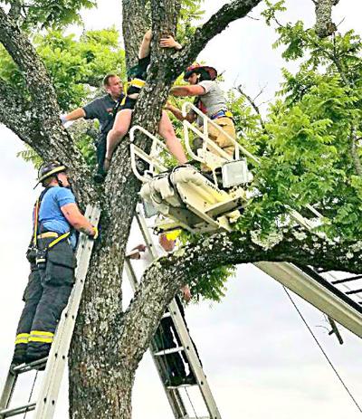 Woman Trapped In Tree Rescued In Team Effort | Local News ...