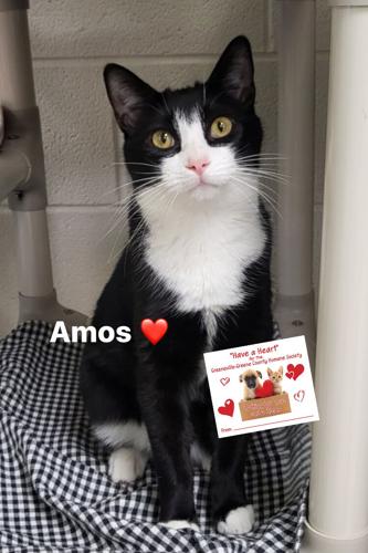 ANIMAL TALK: Have A Heart Fundraiser Begins | Animal Talk ...